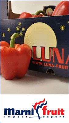 Deens transportbedrijf DFDS neemt HSF Logistics uit Winterswijk over