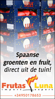 Transportraad bereikt akkoord over APK-regels, maten en gewichten en ...