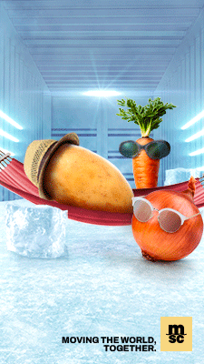 Deens transportbedrijf DFDS neemt HSF Logistics uit Winterswijk over