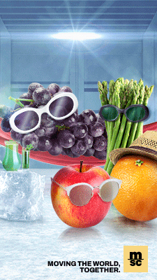 Deens transportbedrijf DFDS neemt HSF Logistics uit Winterswijk over