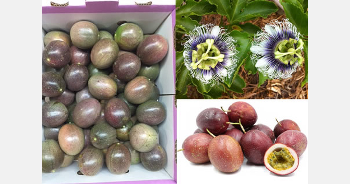 "Israëlisch passiefruit populair bij speciaalzaken in heel Europa"