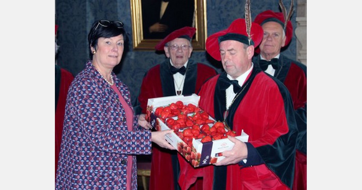 Aardbeien voor het Paleis