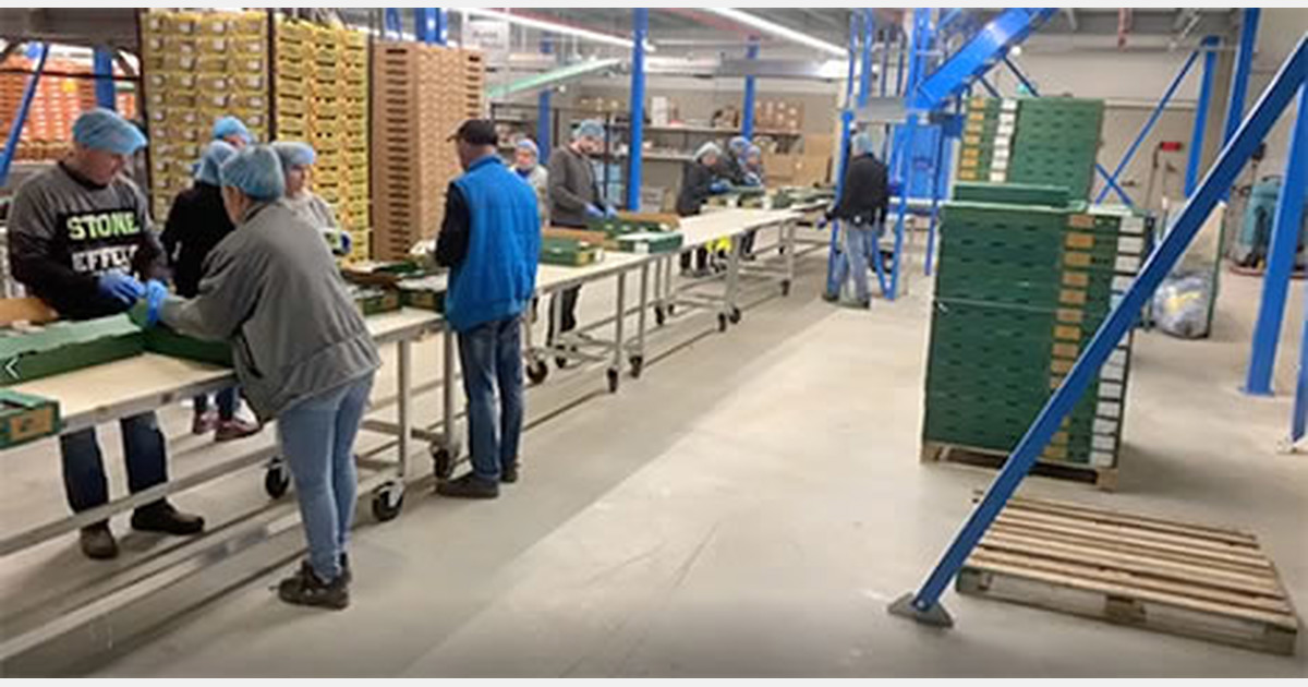 Trofi en Trofi Pack operationeel in nieuwe DC in Den Hoorn