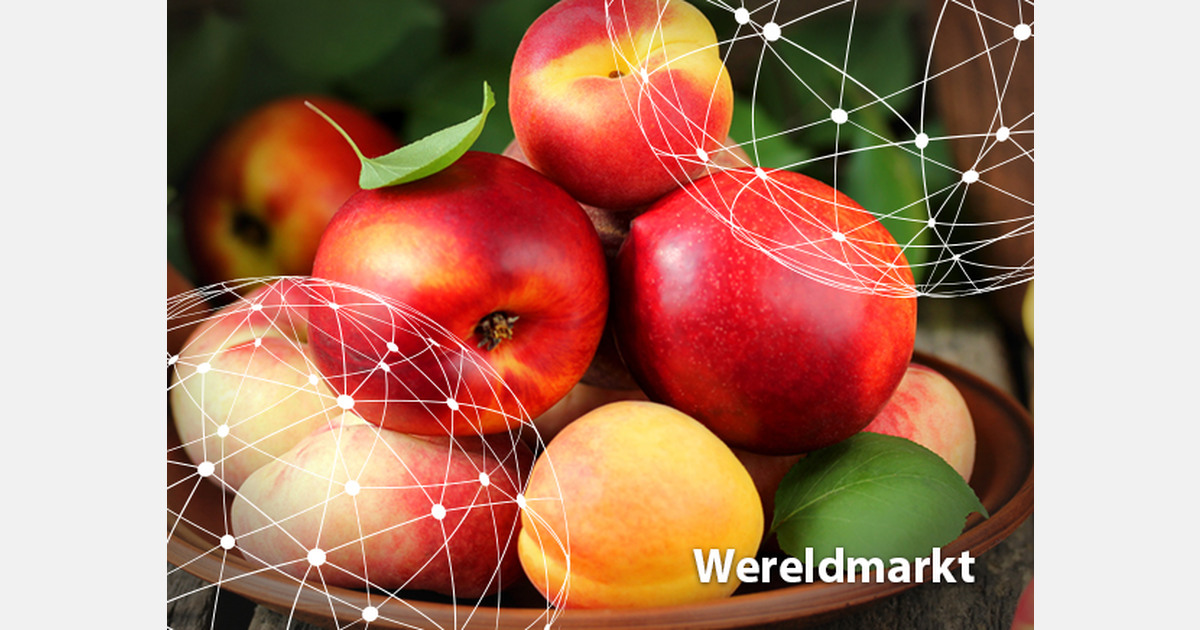 Overzicht wereldmarkt steenfruit