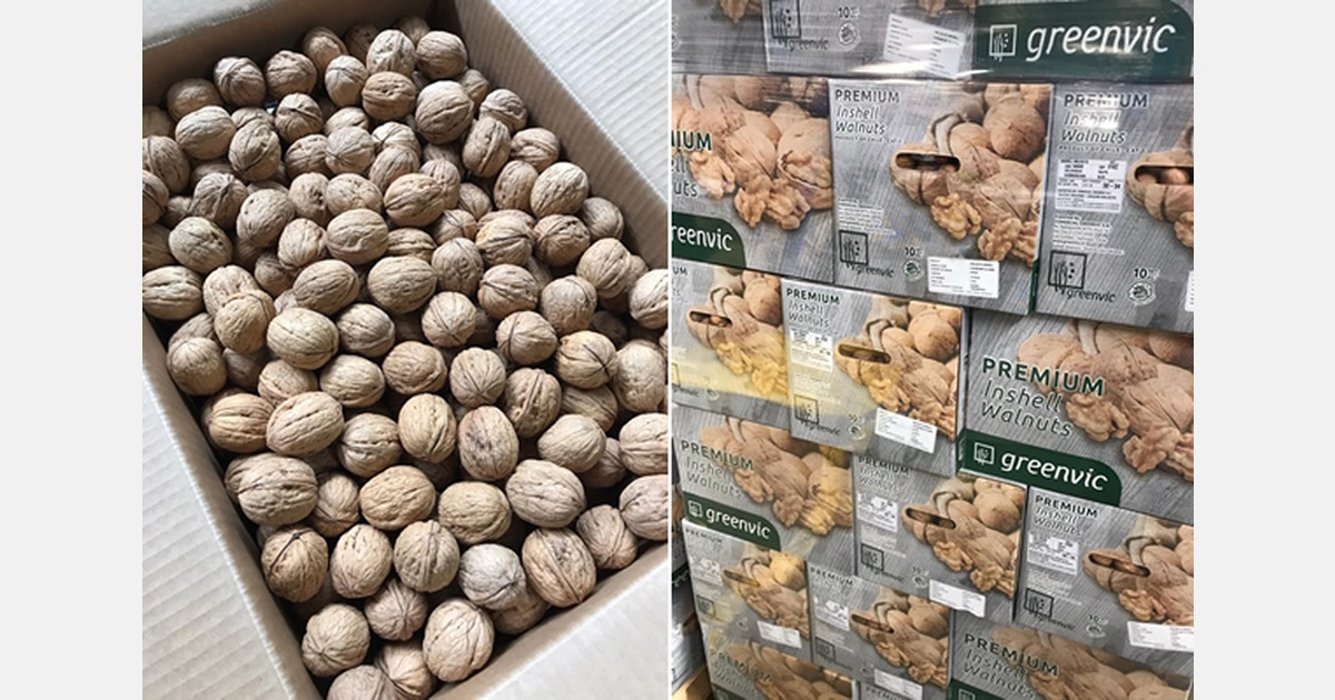 Eerste Chileense walnoten in dop gelost