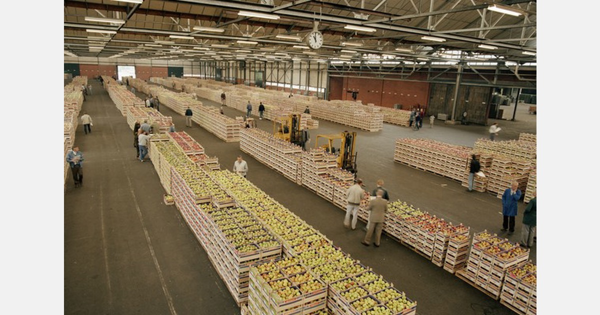 Uit de oude doos: de coöperatieve groente- en fruitveiling Utrecht