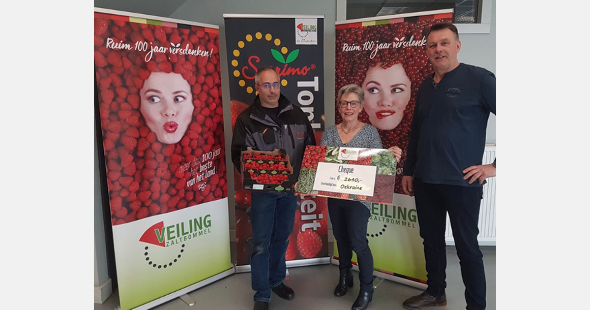 Sebrechts groente en fruit koopt eerste Kwanza’s op Veiling Zaltbommel