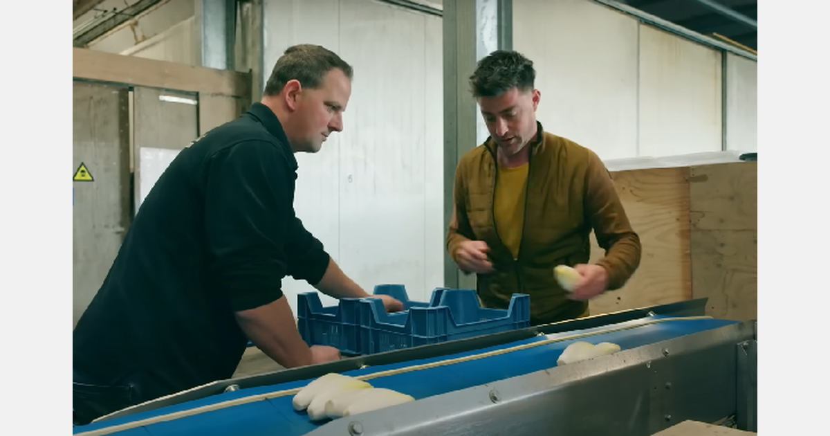 Chef-kok Hugo zoekt uit waarom witlof bitter is