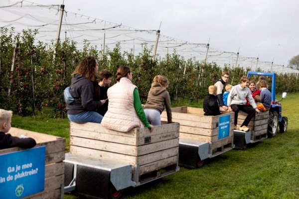 Klanten plukken lokale Sprank appel op AH Appelplukdag