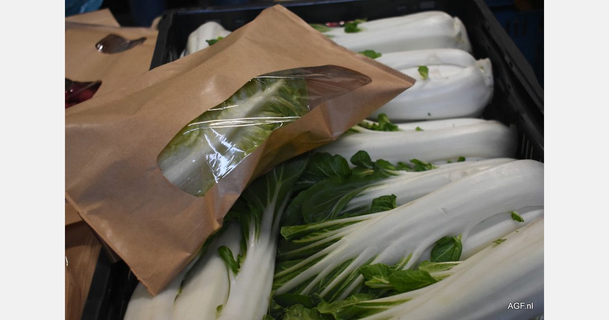 Argos Packaging laat relaties kennismaken met NoW-Paper tijdens testdagen