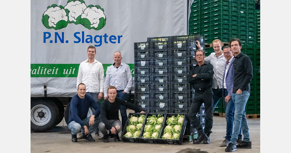 "Prijzen groenten gaan alweer omlaag"