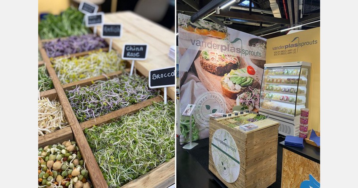 Van der Plas Sprouts