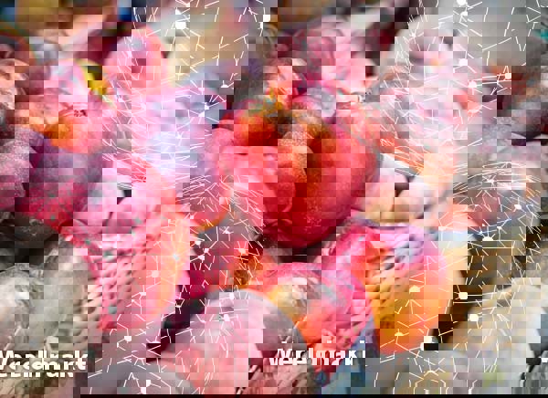 Overzicht wereldmarkt perzik, nectarine en paraguayo