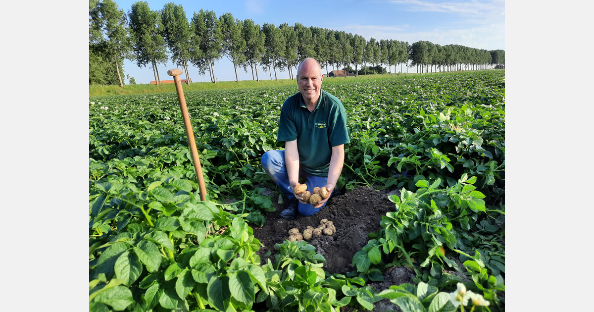 "Ondanks lagere opbrengst, toch veelbelovend seizoen voor teler en ...