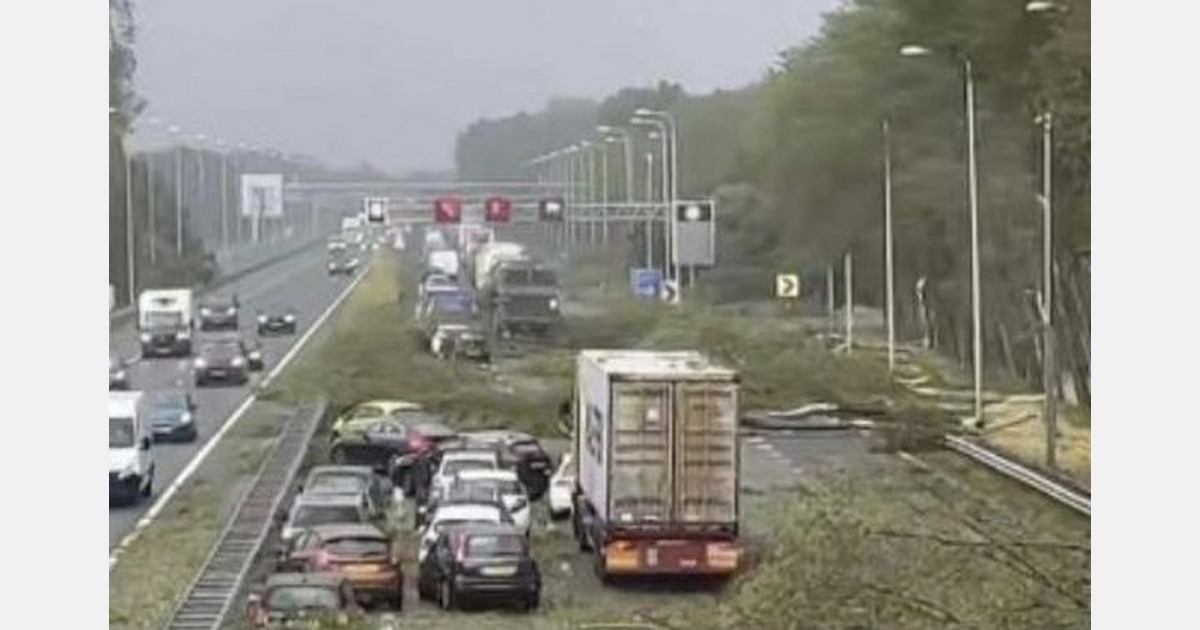 Storm Poly trekt over Nederland en zorgt op veel plekken voor ravage