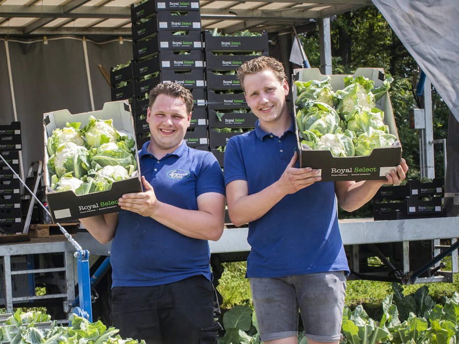 Gebroeders Loonen sluit zich aan bij ZON