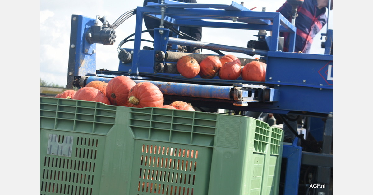 "We hebben dit jaar voor het eerst ons seizoen verlengd met Portugese ...