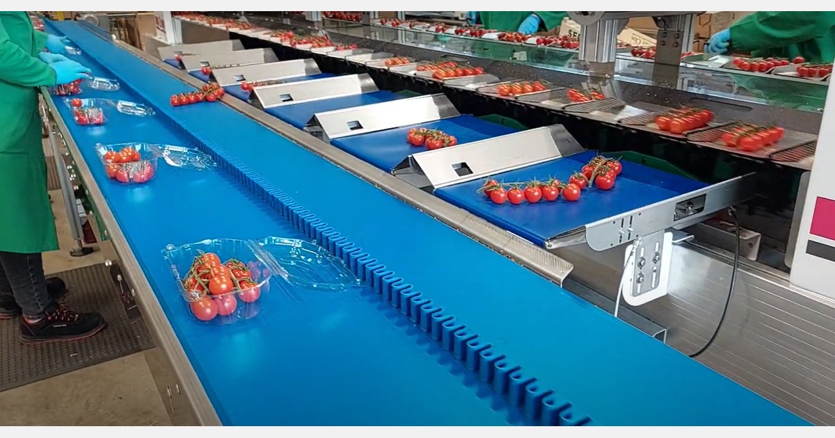 Voorzichtige behandeling en weging van trostomaten en druiven