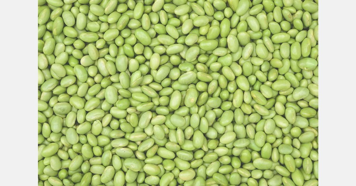 "Over 10 jaar hopen we dat de veldboon een essentieel onderdeel van de ...