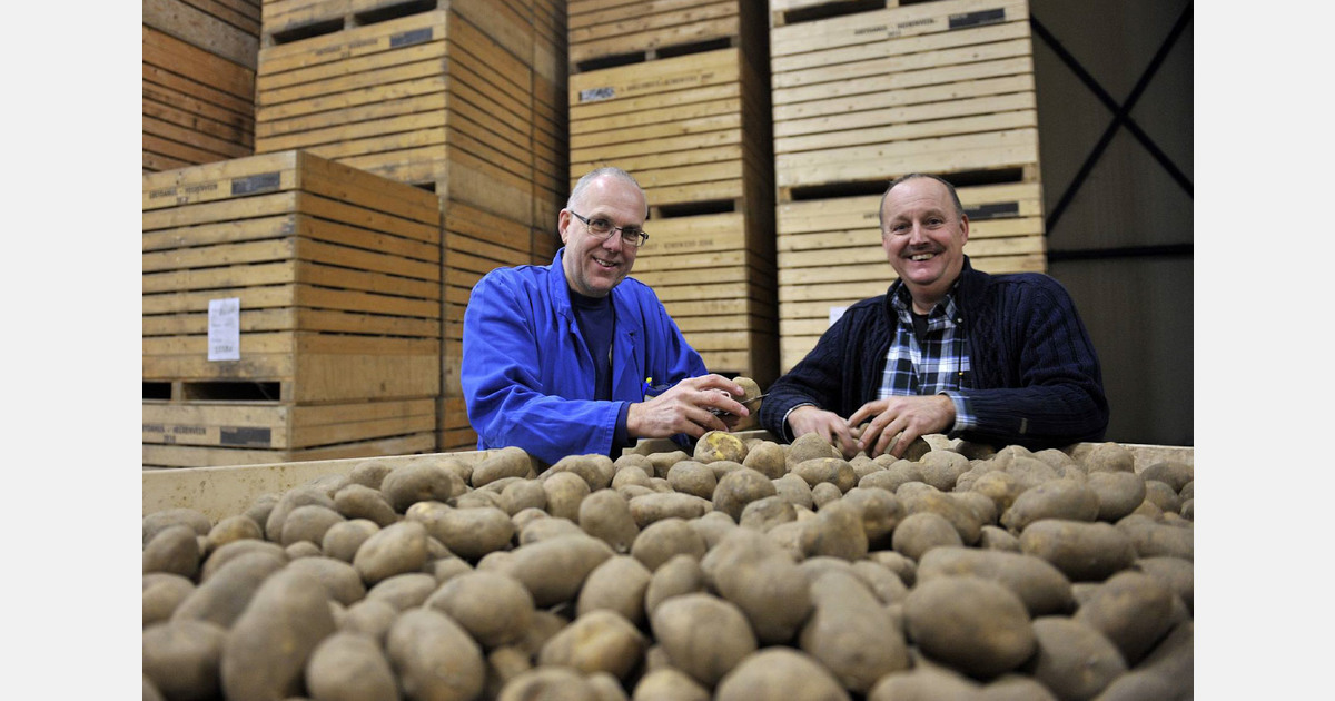 Klaas en Cor Greydanus 40 jaar werkzaam bij Aardappelgroothandel Greydanus