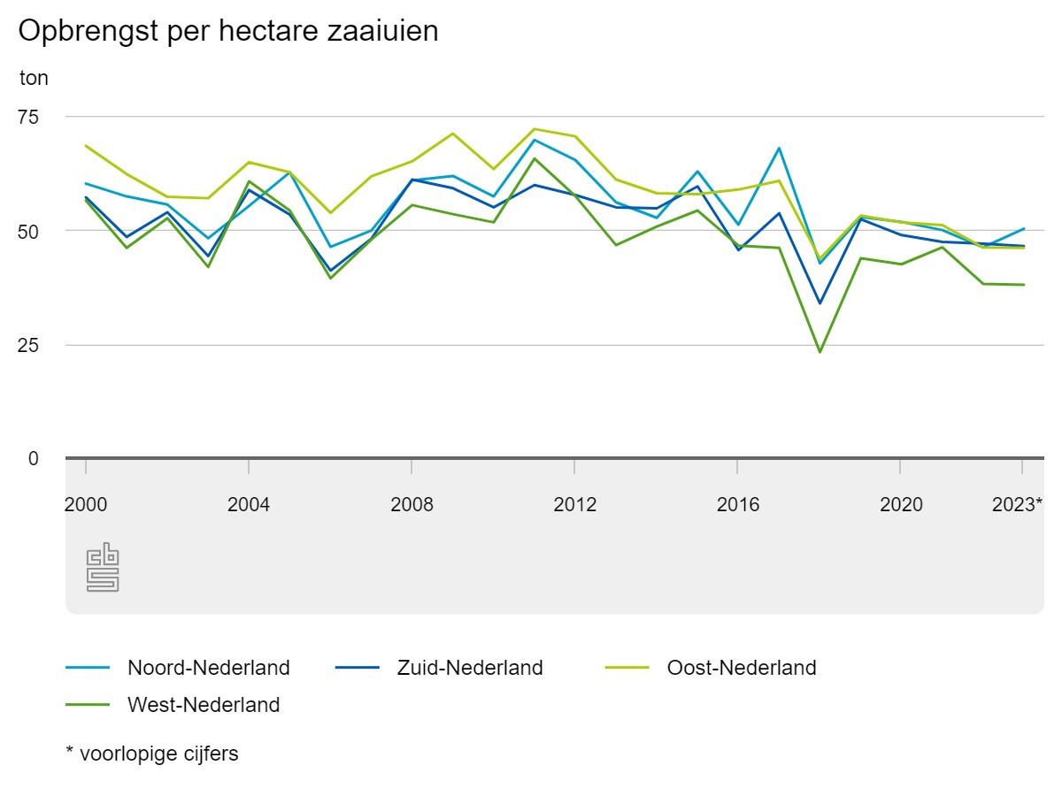 Meer zaaiuien geoogst in Nederland, minder aardappelen