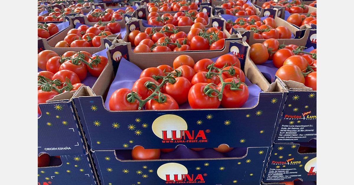 "Markt van Spaanse trostomaten dit seizoen volledig de omgekeerde wereld"