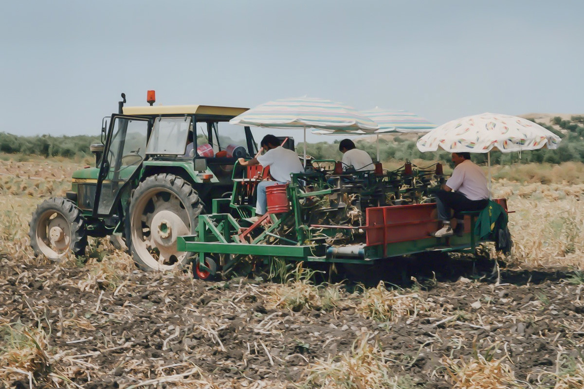 Uit de oude doos: AGF-im- en exporteur Temu