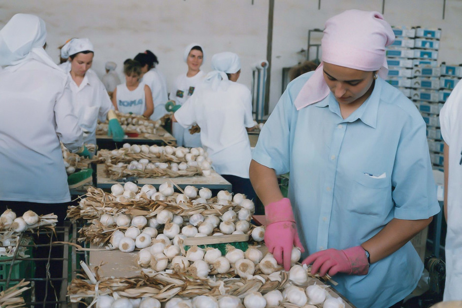 Uit de oude doos: AGF-im- en exporteur Temu