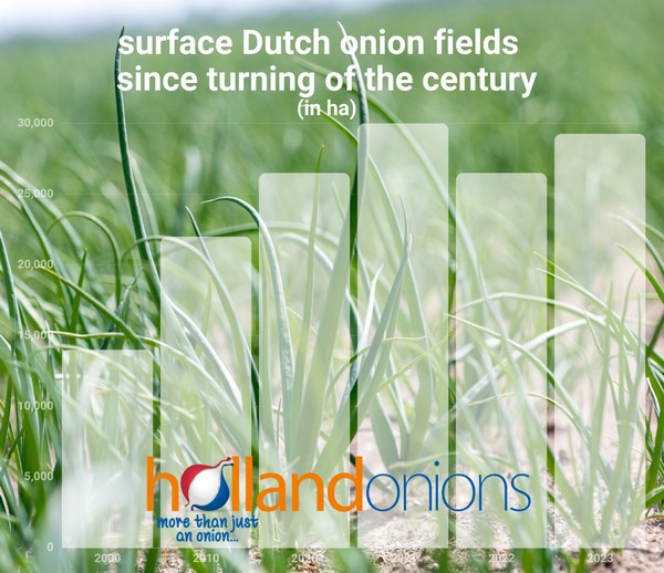 "Epische grens exportwaarde van 1 miljard euro Nederlandse uien doorbroken"
