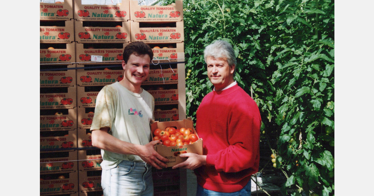 Uit de oude doos: Solleveld's 'Natura'-tomaat succes