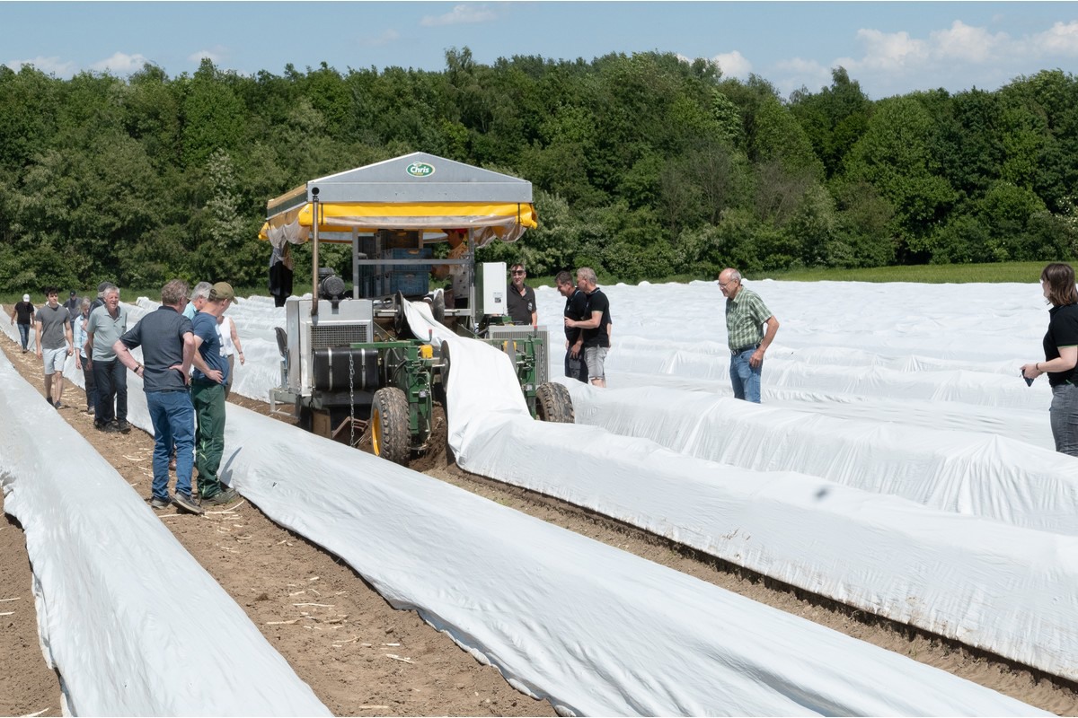 "Machinaal oogsten kan personeelskosten flink reduceren"