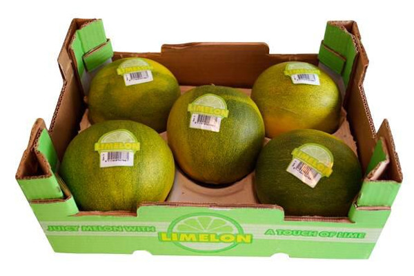"Limelon vindt vlot zijn weg als specialty-meloen binnen Europese retail"