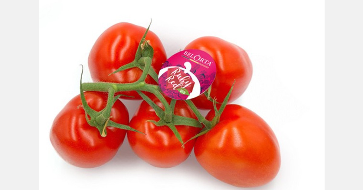 Bio Ruby Red genomineerd voor BioVLAM 2024