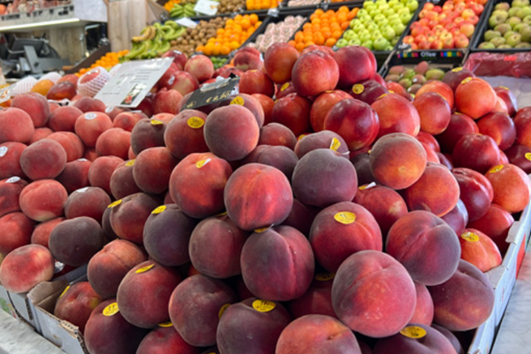 Verkoop van steenfruit in België onder druk