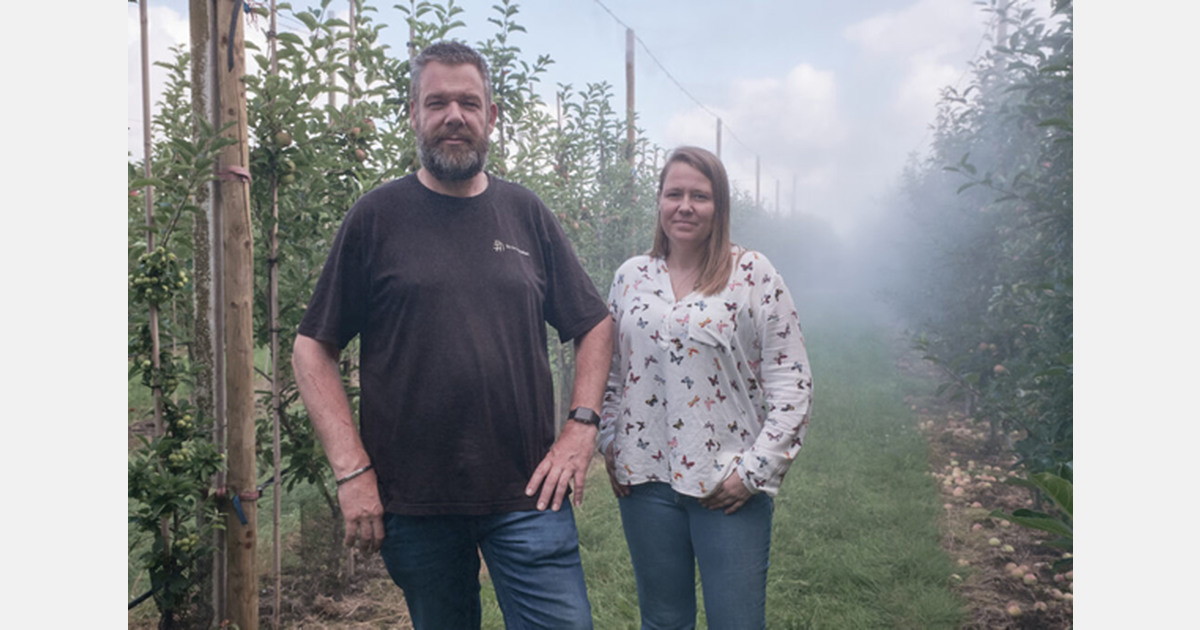 Mist in de boomgaard als verkoeling