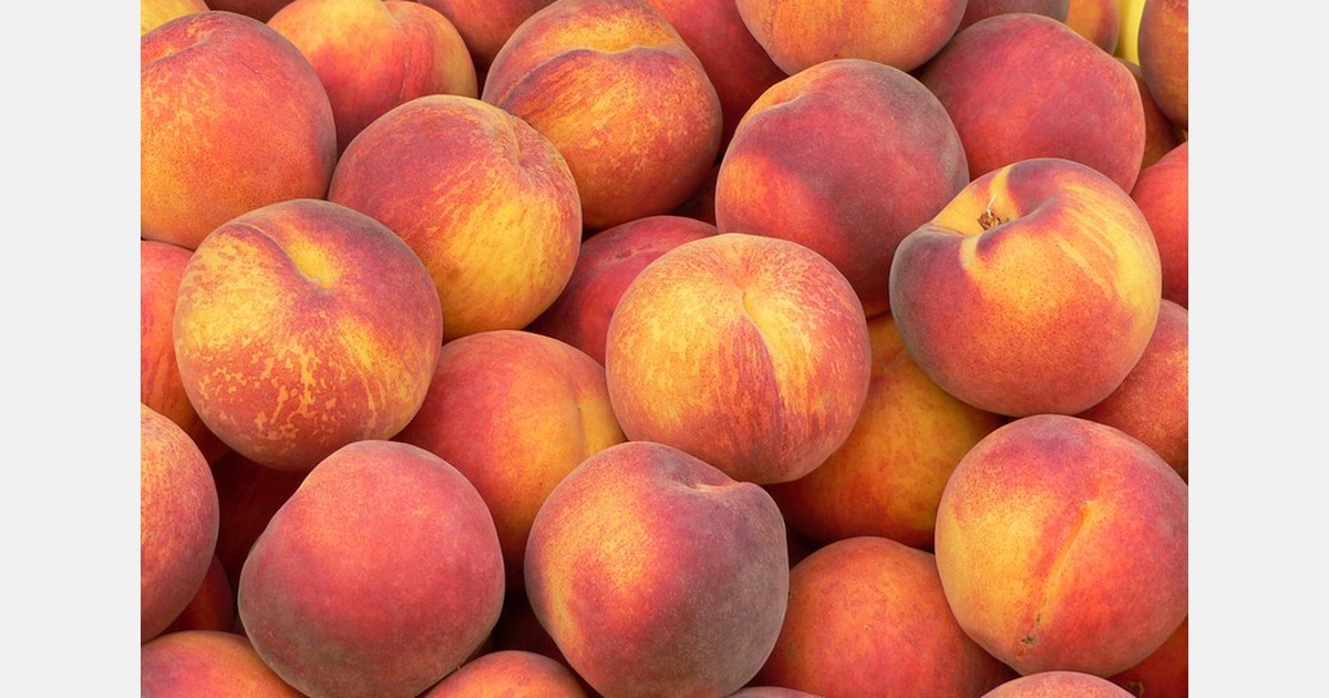 "Perzik en de nectarine hebben hun eigen smaakprofiel"