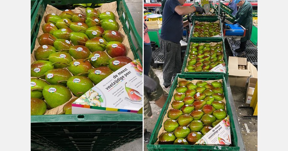 "Door volle markt en zomerperen kan het QTee seizoen wat uitgerekt worden"