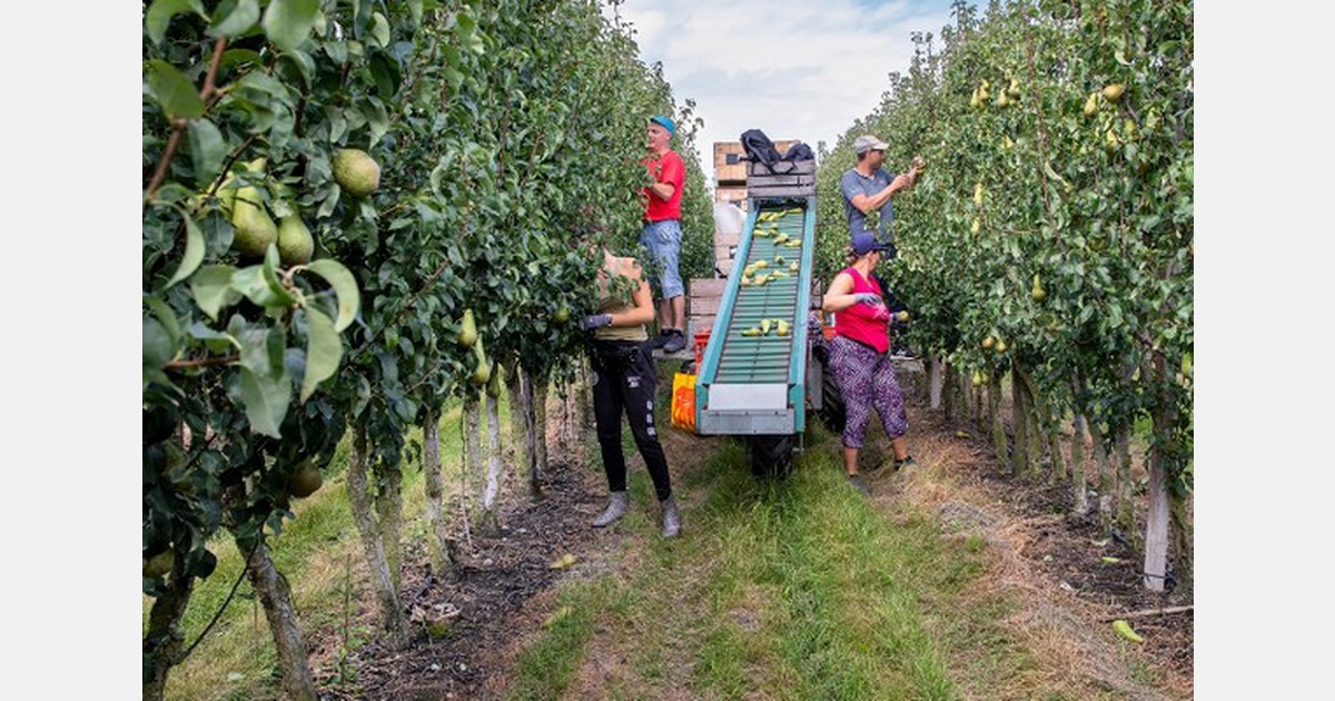 "Minder mensen, minder machines"