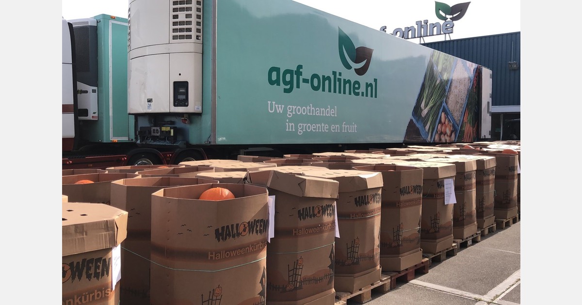 Jaarlijkse herfstboost voor pompoenen bij AGF-Online
