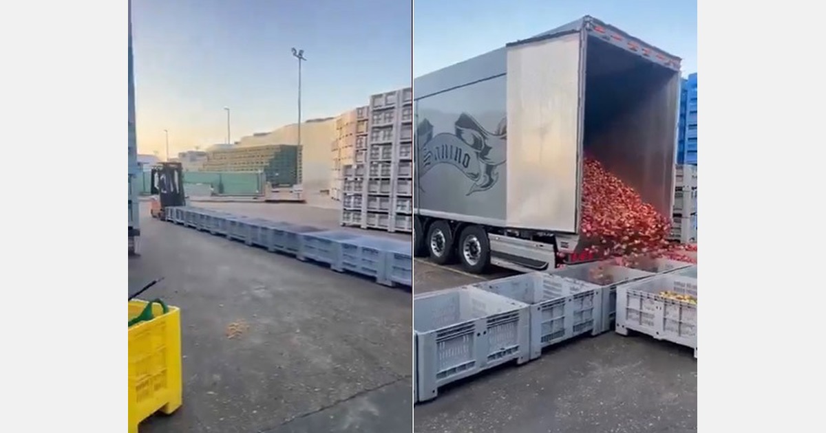 Auto fruit lossen 2.0