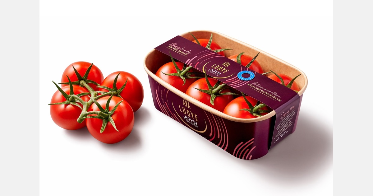 Een nieuwe premium verpakking voor Looye Joyn tomaten