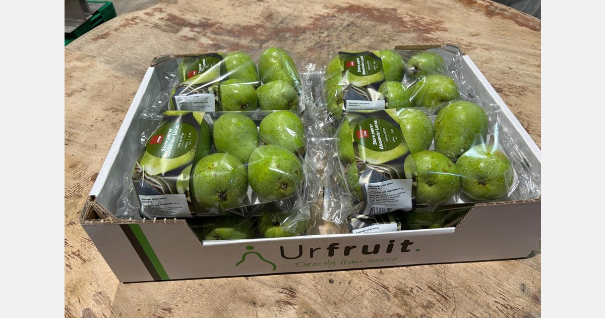 "Kentering in fruithandel waarbij er meer regie bij de producenten komt ...