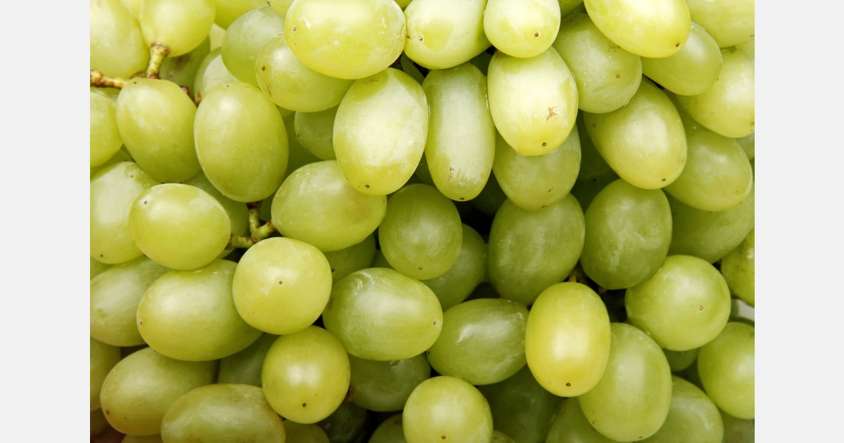 Traditioneel 12 druiven met de jaarwisseling in Spanje