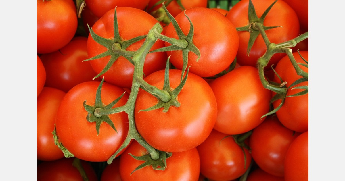 Tomaat positieve uitschieter binnen lagere consumentenaankoop groenten