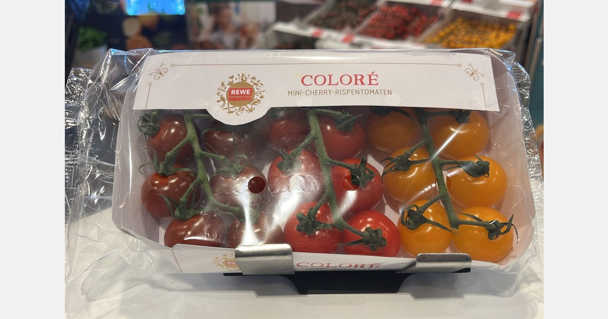 William van der Riet