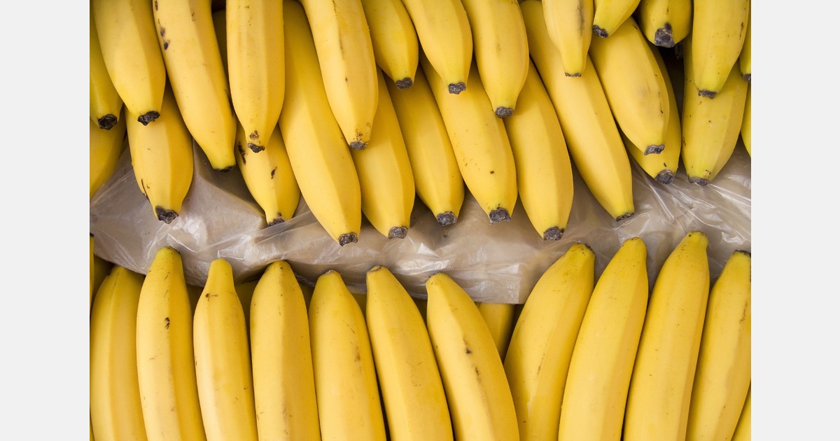 Klimaatverandering zet import bananen door Europa en VS mogelijk onder druk