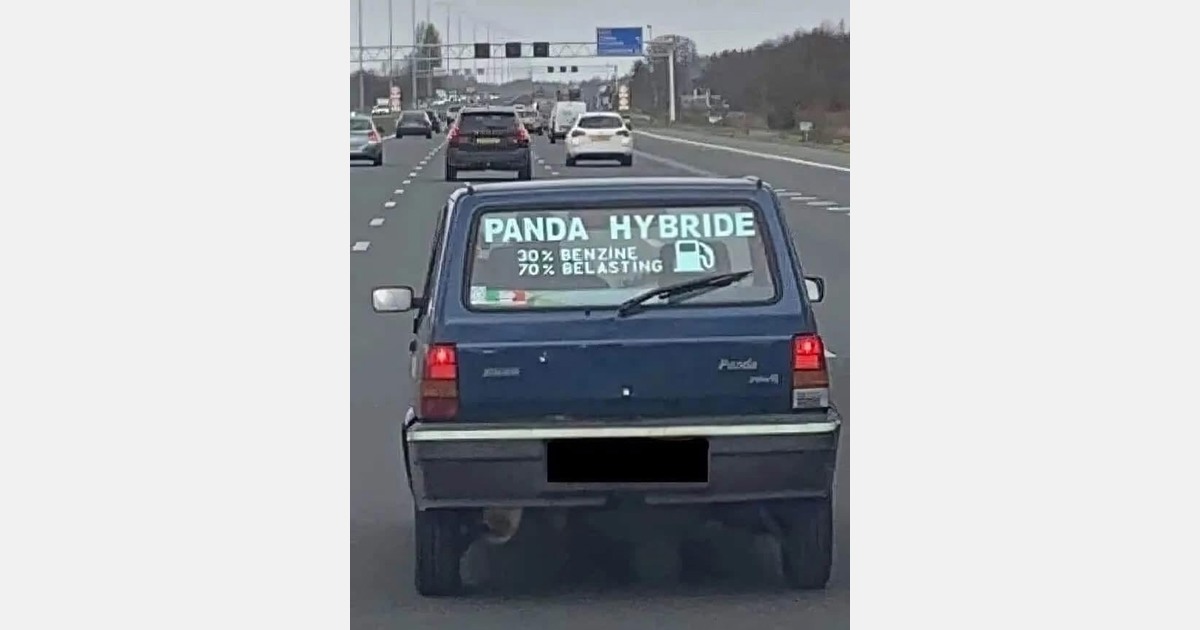 Panda hybride
