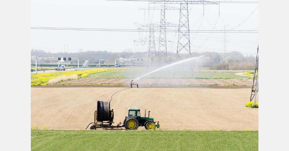 Zeeuwse telers vrezen misoogst door extreem droog voorjaar
