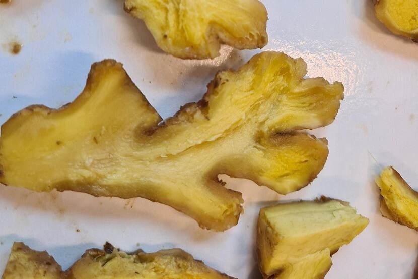 NVWA start steekproefsgewijze controle op bruinrotbacterie in verse ...