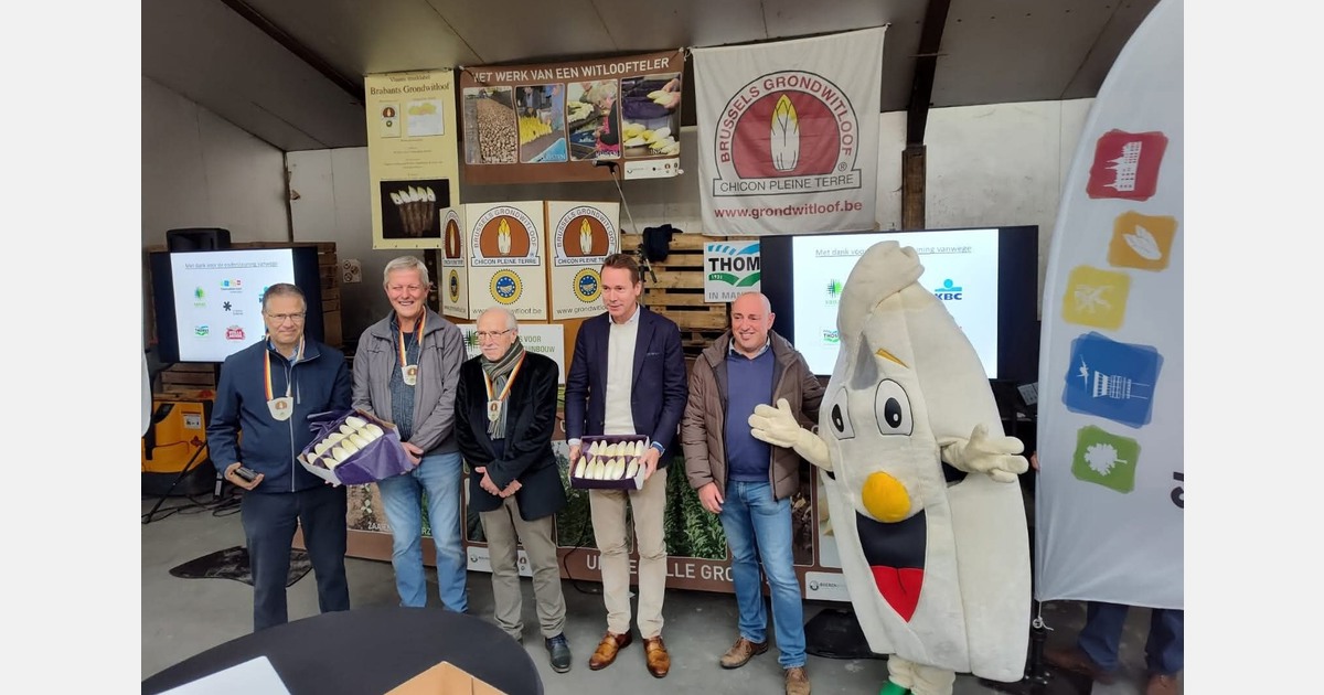 "Als we niet oppassen, is grondwitloof over 10 jaar verdwenen"